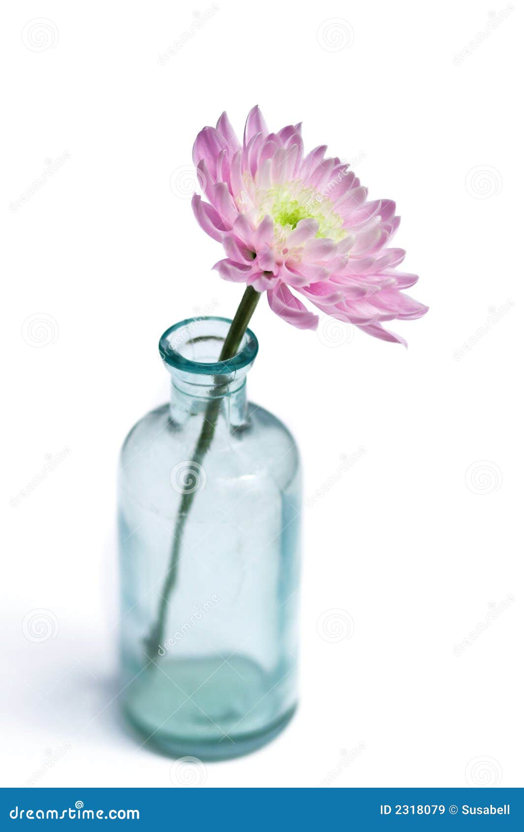 Bloem in De Vaas Van Het Glas Stock Afbeelding - Image of lente, vaas ...