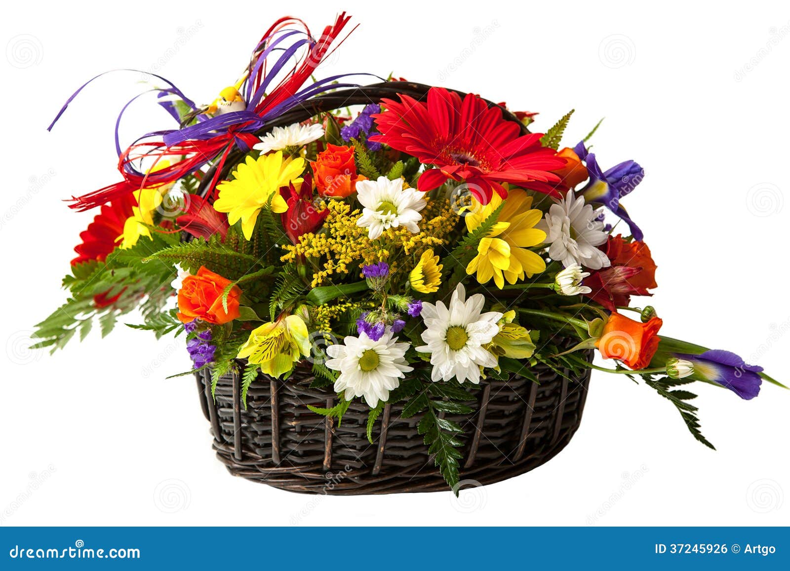 Bloem in een mand. stock foto. Image of groen, mand, zwaardlelie - 37245926