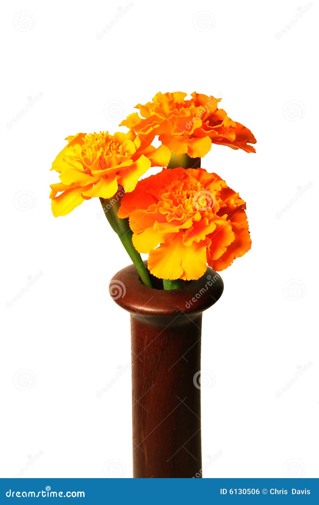 Bloemen & vaas stock foto. Image of zomer, groen, hout - 6130506