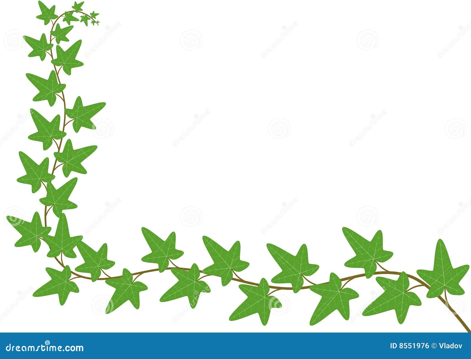 Bloemen kaart - klimop vector illustratie. Illustration of bloem - 8551976