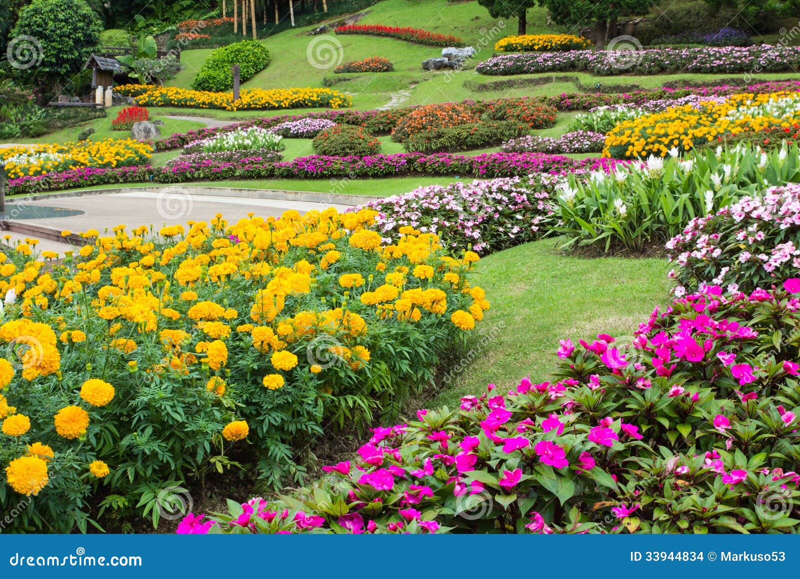 Bloementuin stock foto. Afbeelding bestaande uit achtergrond - 33944834