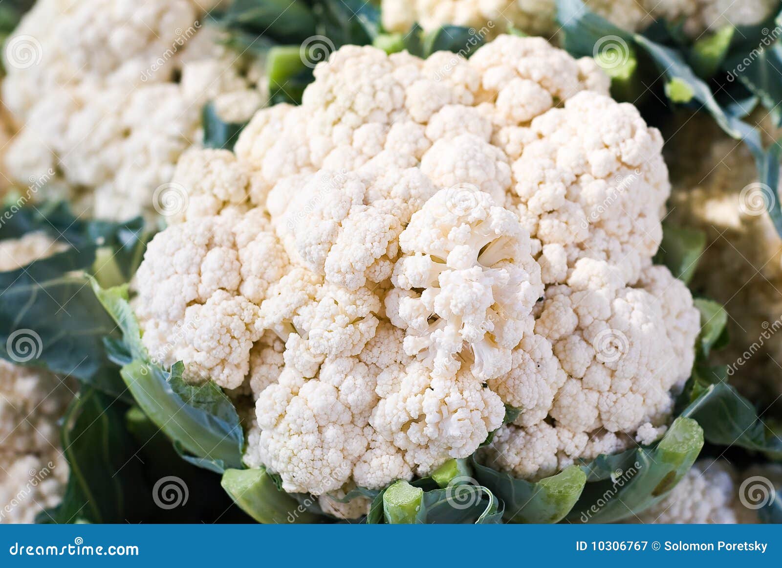 Bloemkool stock afbeelding. Image of voedsel, groen, wagon - 10306767