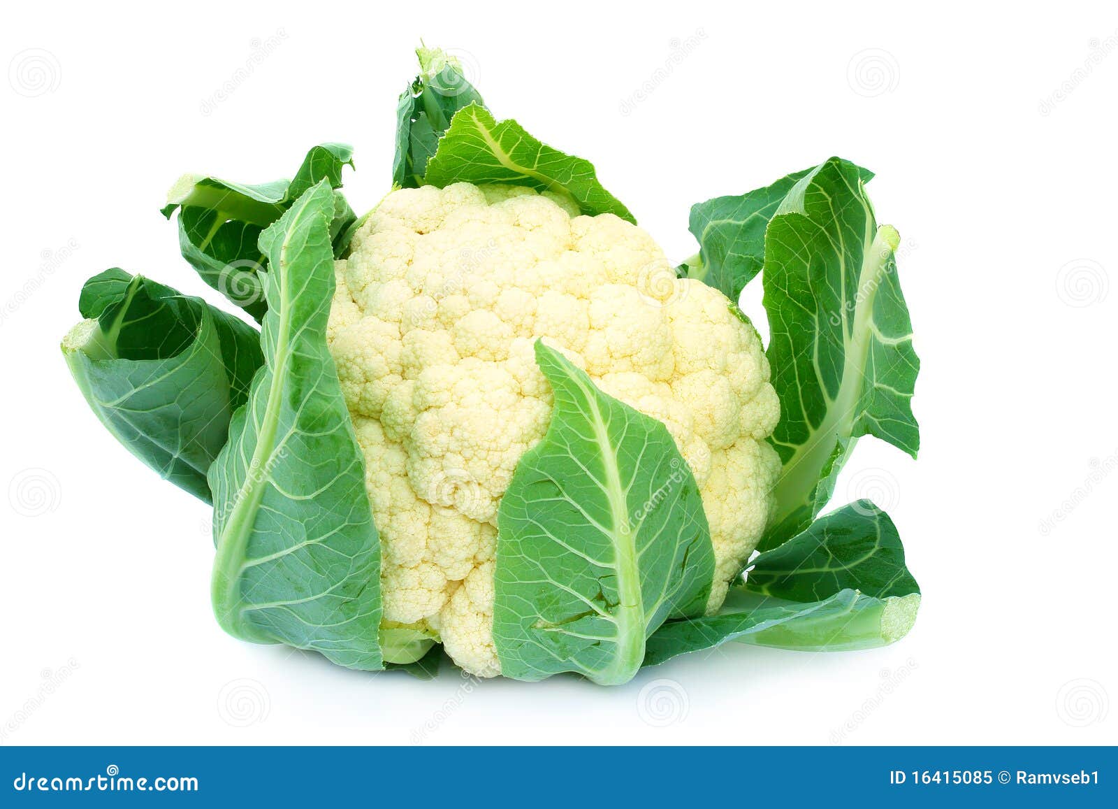 Bloemkool stock afbeelding. Image of groenten, geïsoleerd - 16415085