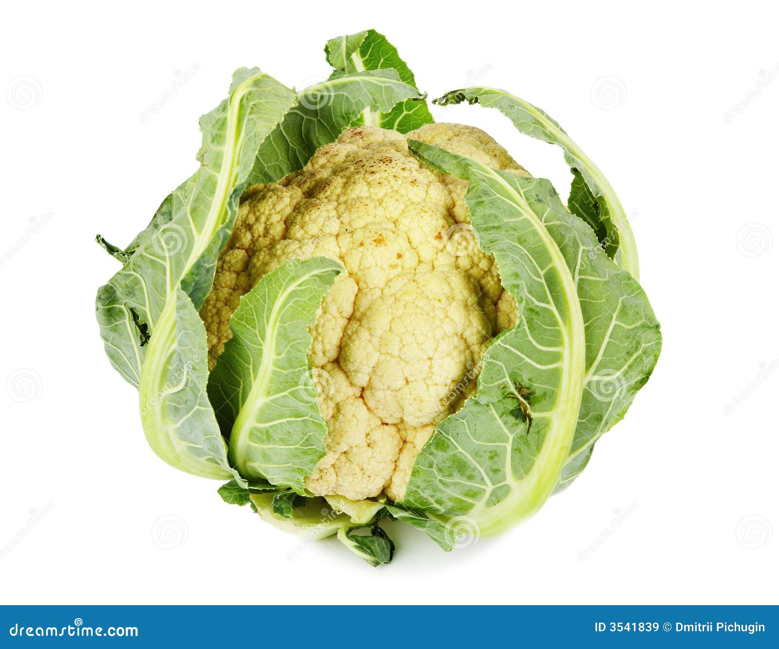 Bloemkool stock afbeelding. Image of groen, landbouw, oogst - 3541839