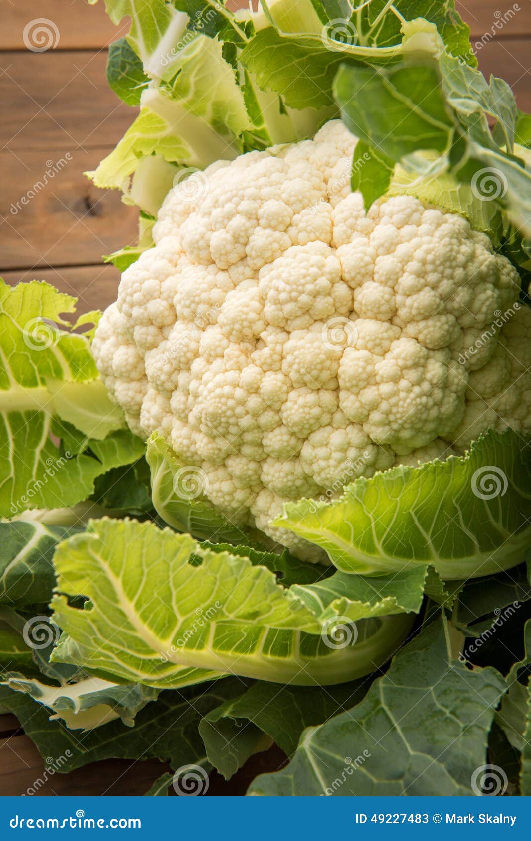 Bloemkool stock afbeelding. Image of oogst, verticaal - 49227483