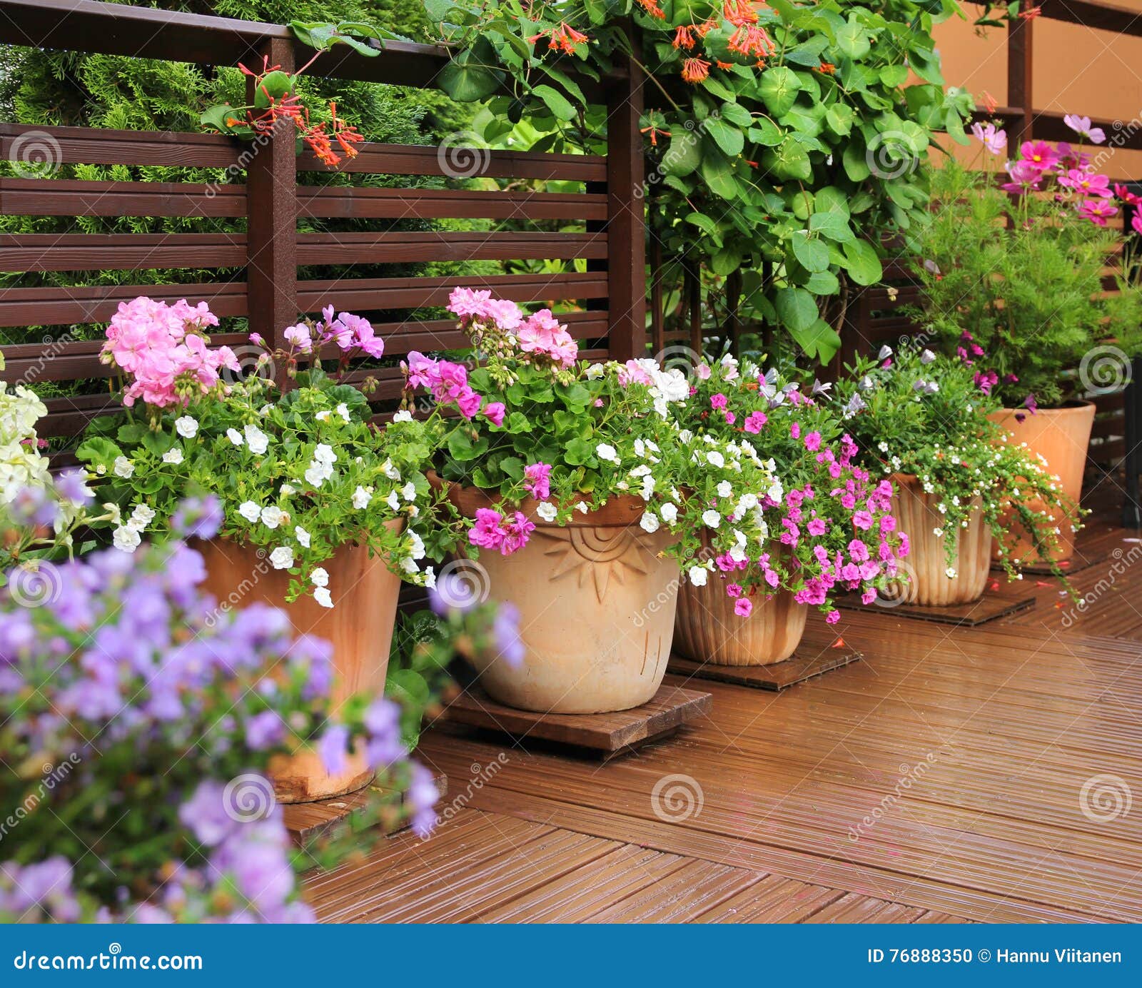 Bloempotten Op Houten Terras Stock Foto - Image of kleurrijk, zomer ...