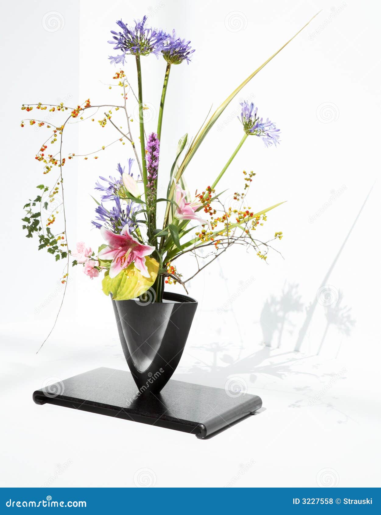 Bloemstuk, Ikebana stock foto. Image of regeling, tijger - 3227558