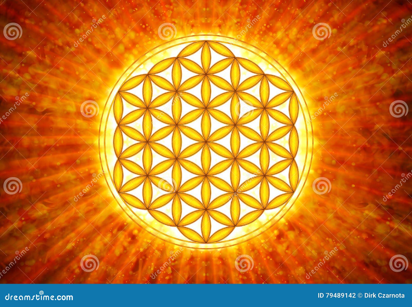 Blomma Av Live Symbol - Sakral Geometri Stock Illustrationer ...