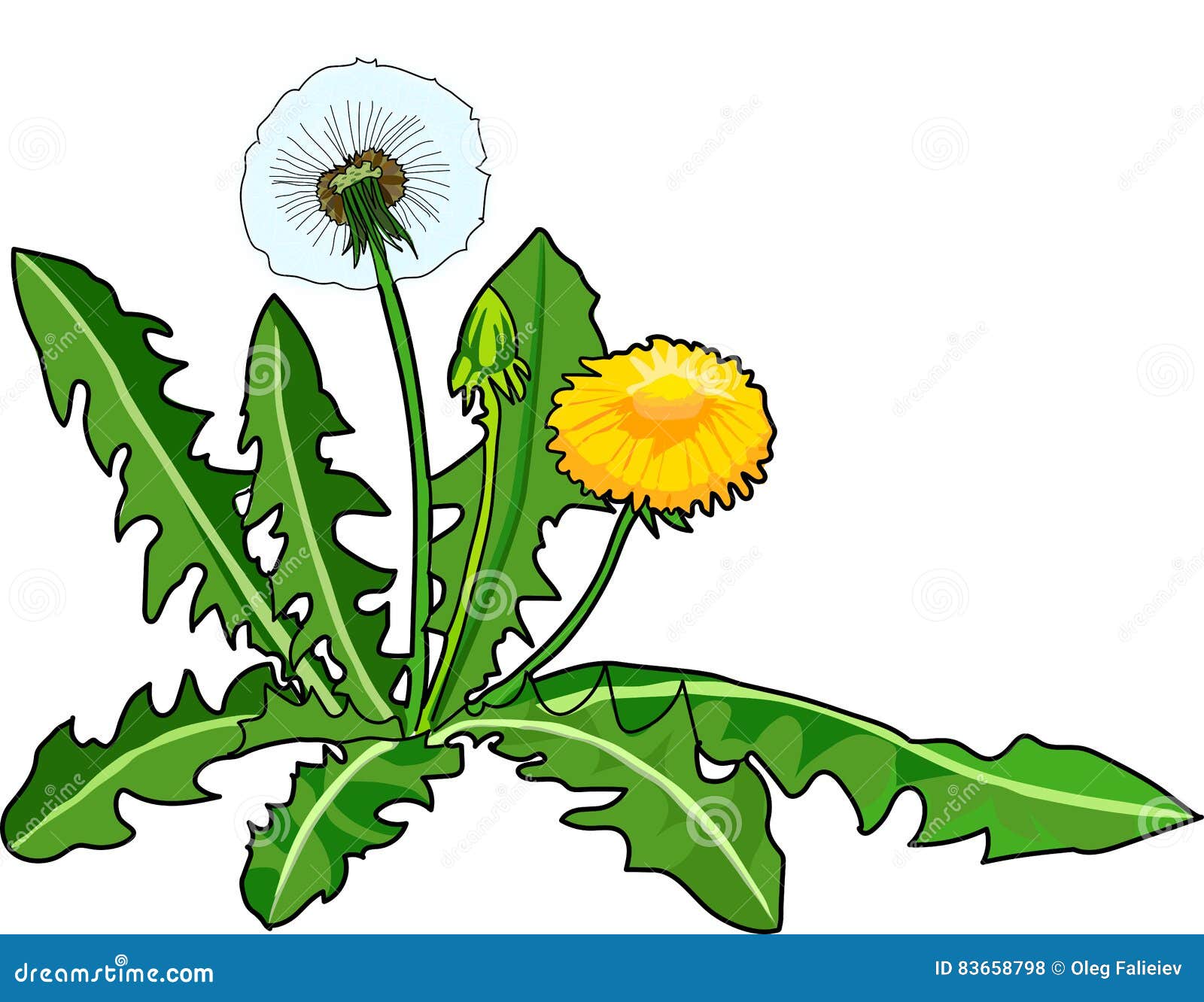 Blomma en maskros stock illustrationer. Illustration av illustration ...