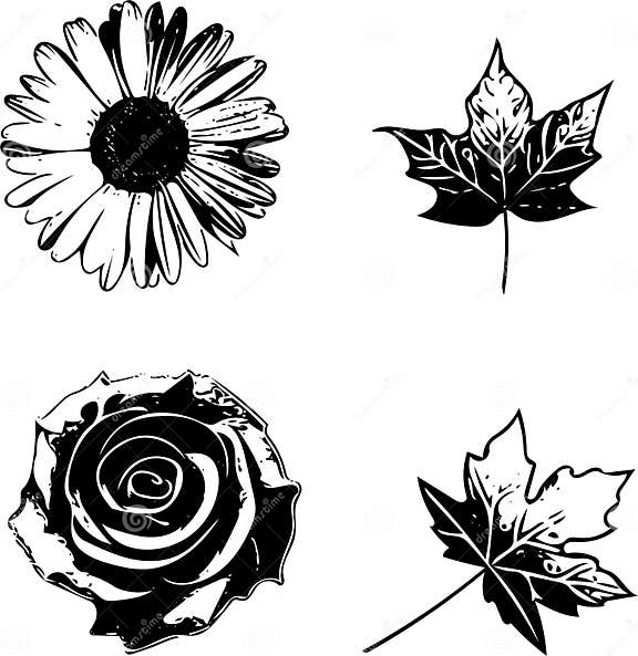 Blomma- och bladsamling stock illustrationer. Illustration av enkelt ...