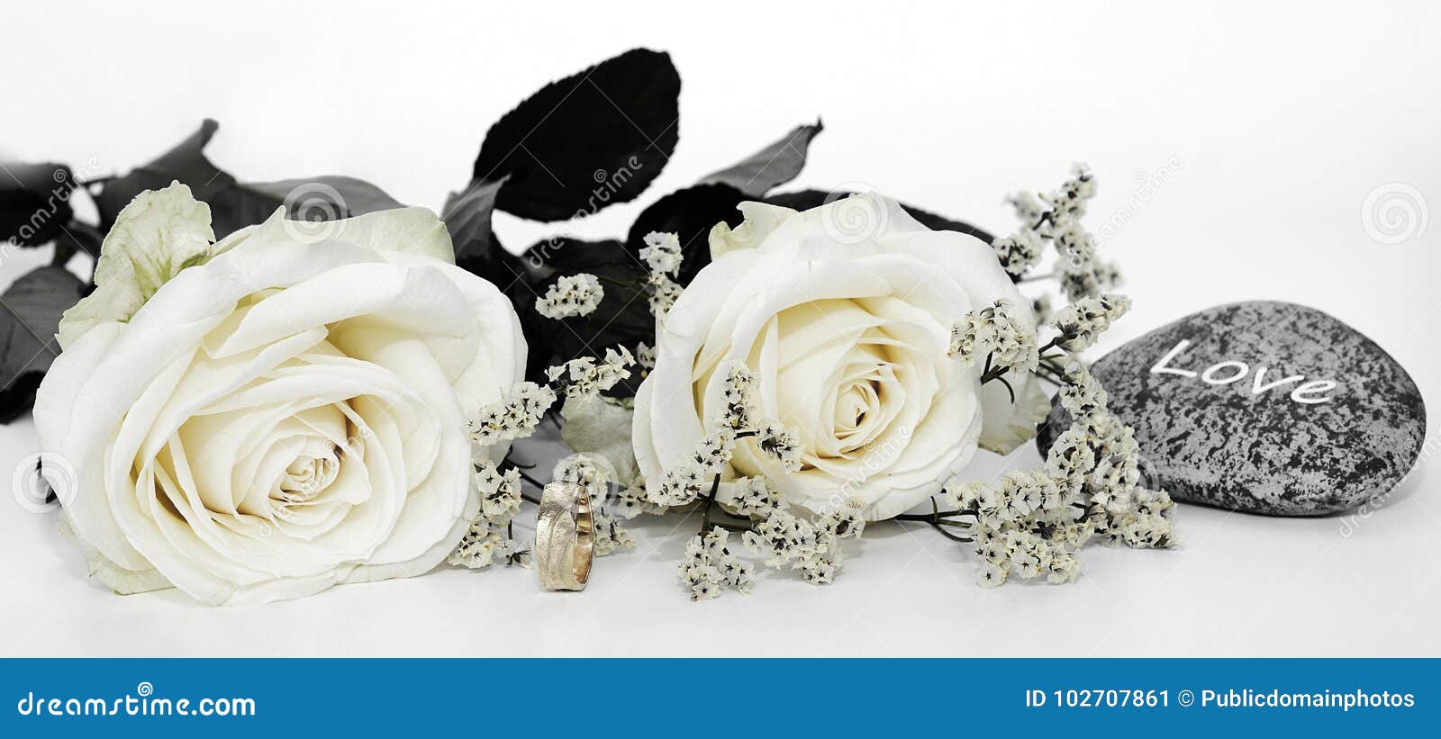 Blomma Vit, Snittblommor, Blommabukett Bild. Bild: 102707861