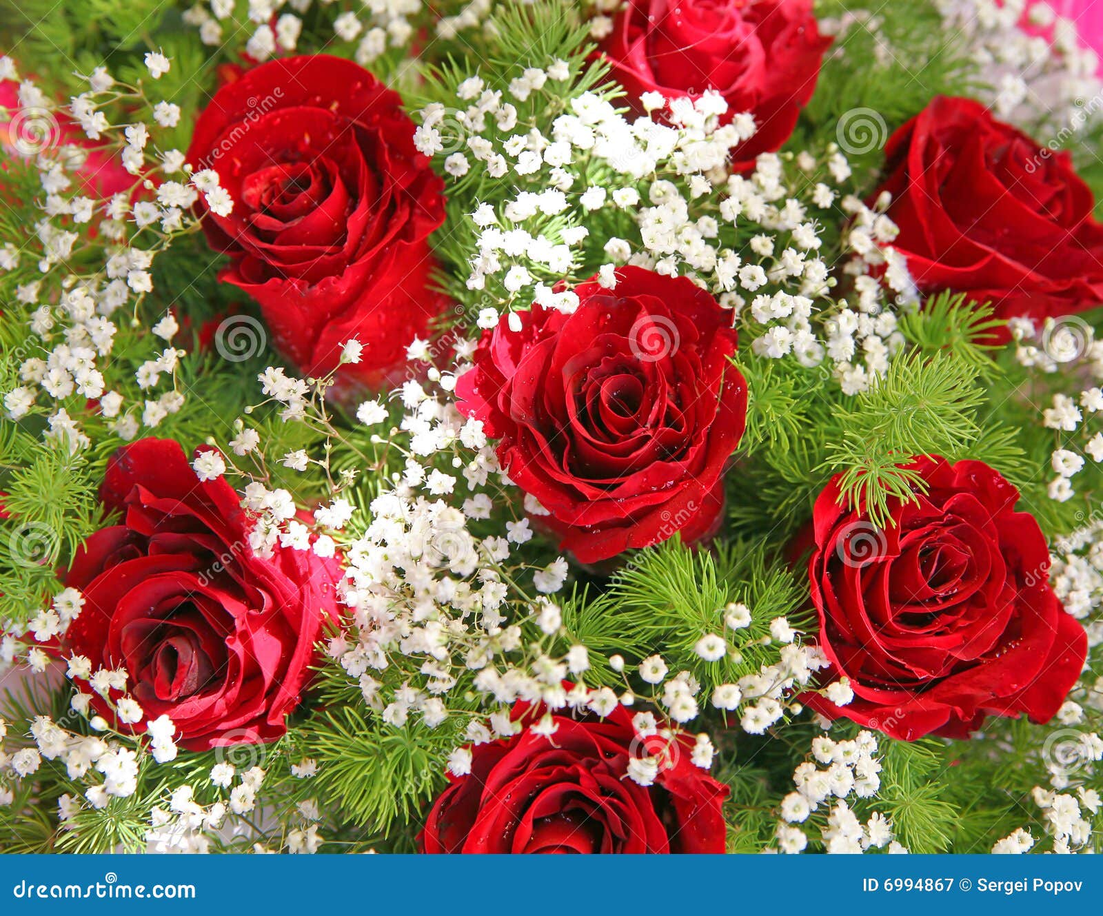 Blommor fotografering för bildbyråer. Bild av friskhet - 6994867