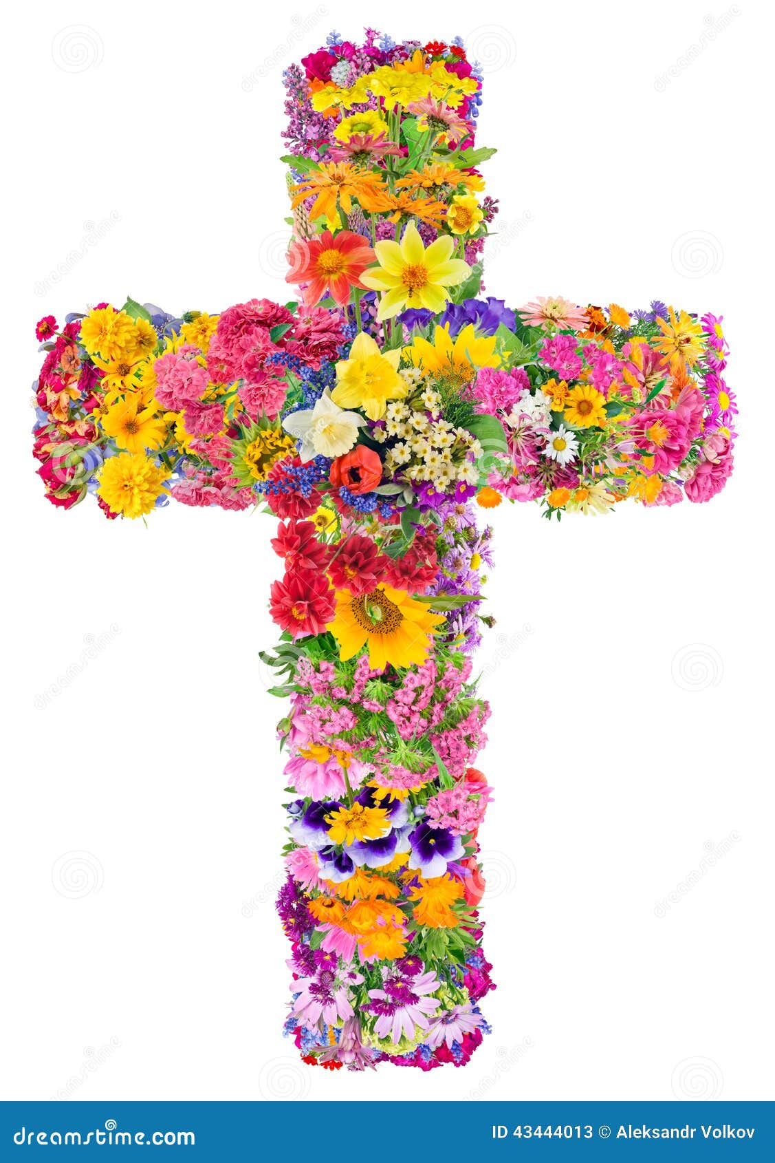 Blommor Av Ett Kors Av Jesus Fotografering för Bildbyråer - Bild av ...