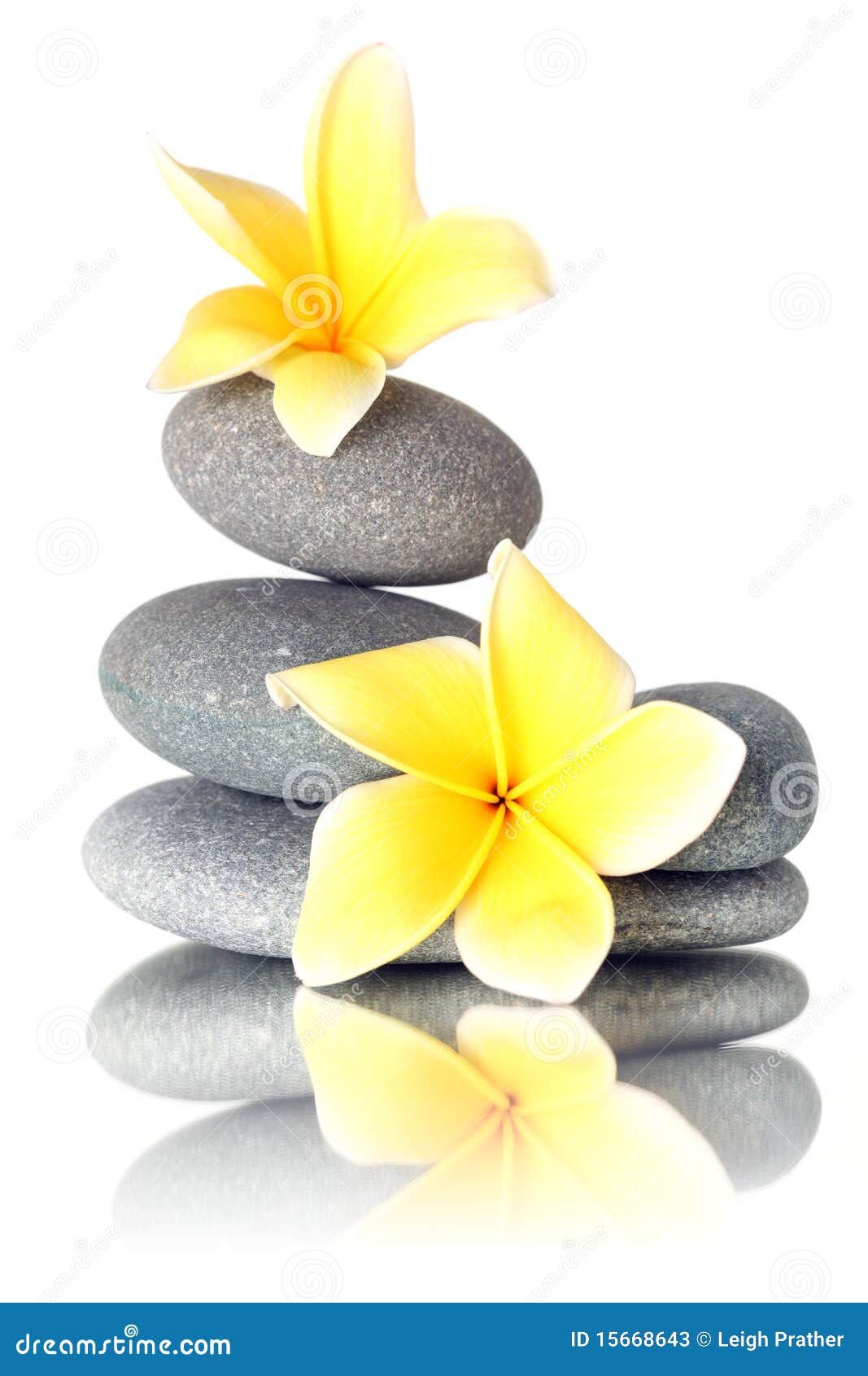 Blommor staplad stenyellow fotografering för bildbyråer. Bild av ...