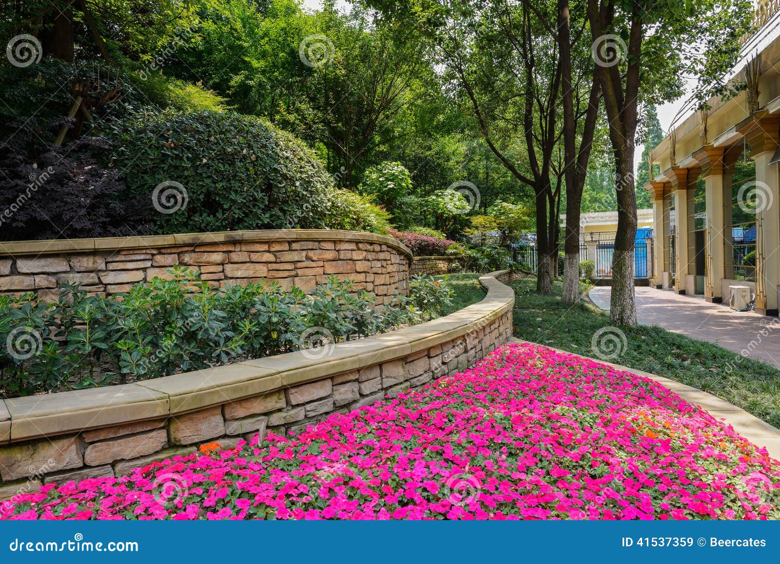 Blomrabatter I Skugga Av Träd Fotografering för Bildbyråer - Bild av ...