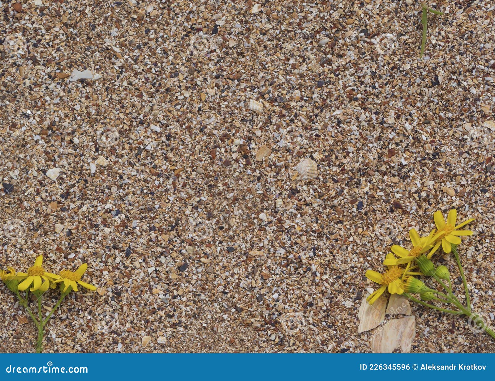 Blomsterarrangemang På Stranden. Gula Blommor Ligger På Sand Av Brutna ... Blomsterarrangemang På Stranden. Gula Blommor Ligger På Sand Av Brutna ...