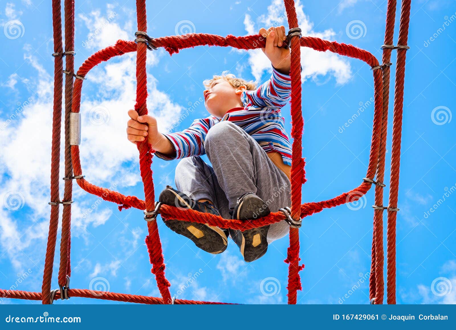 Blond Boy Perched on a Web Rope-ladder Structure in a Children`s ...