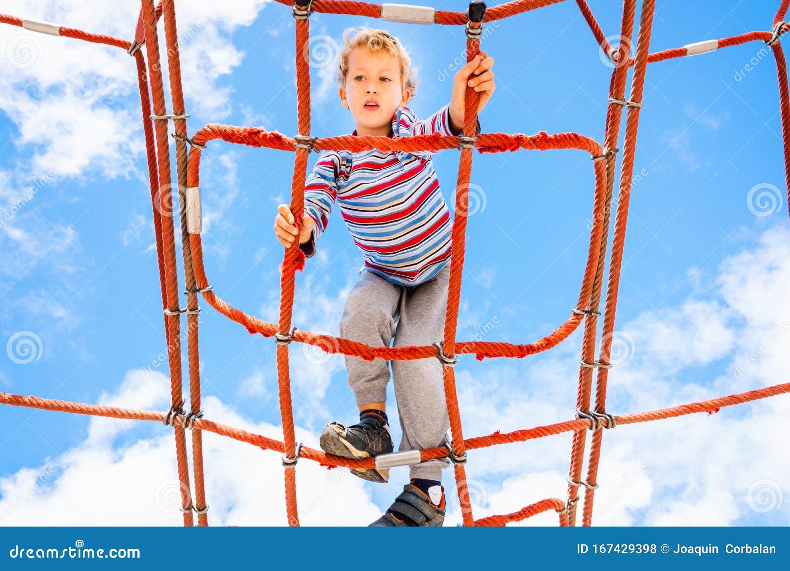 Blond Boy Perched on a Web Rope-ladder Structure in a Children`s ...