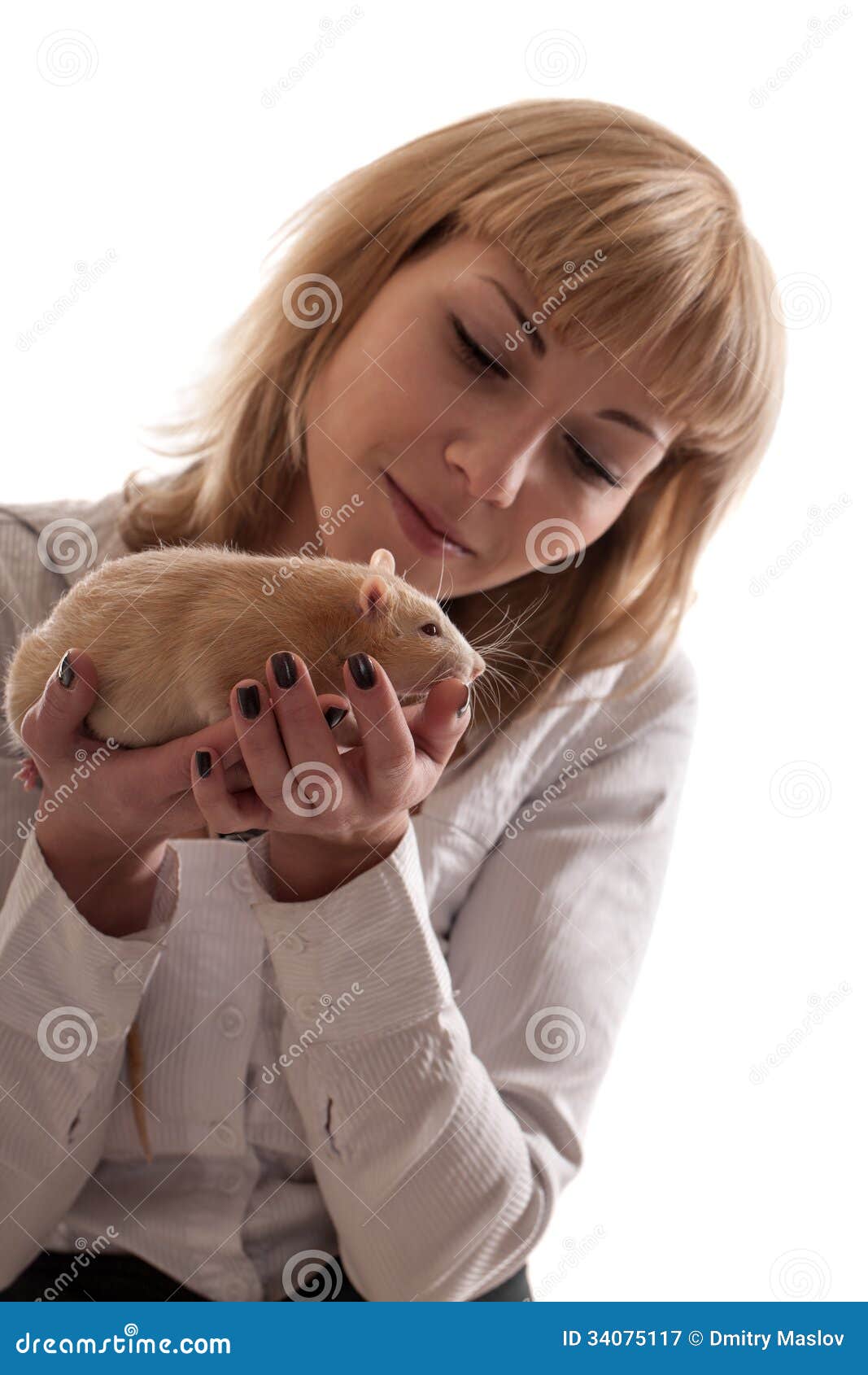 Blond with Domestic Red Rat Stock Image - Image of white, girl: 34075117