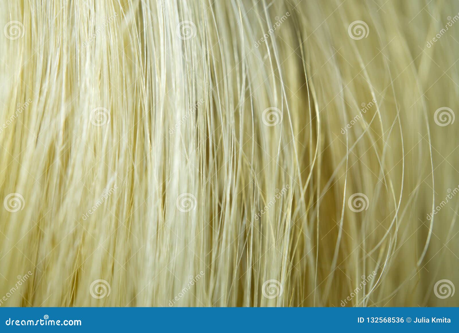 Blond Hair Macro in Full Frame Stock Photo - Image of full, texture ...