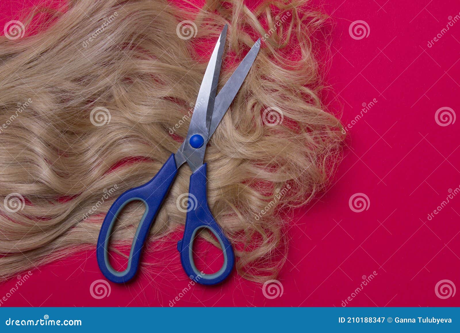 Blond Hair and Scissors on Red Background, Top View Stock Image - Image ...