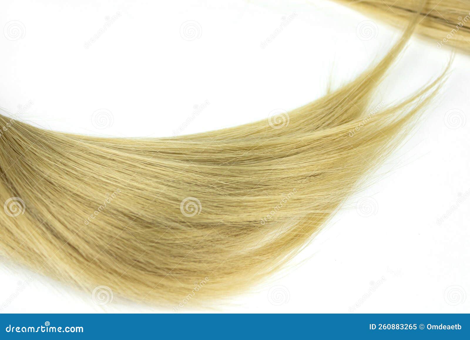 Blond Shiny Hair Wave, on White. Strand of Blond Hair on White Stock ...