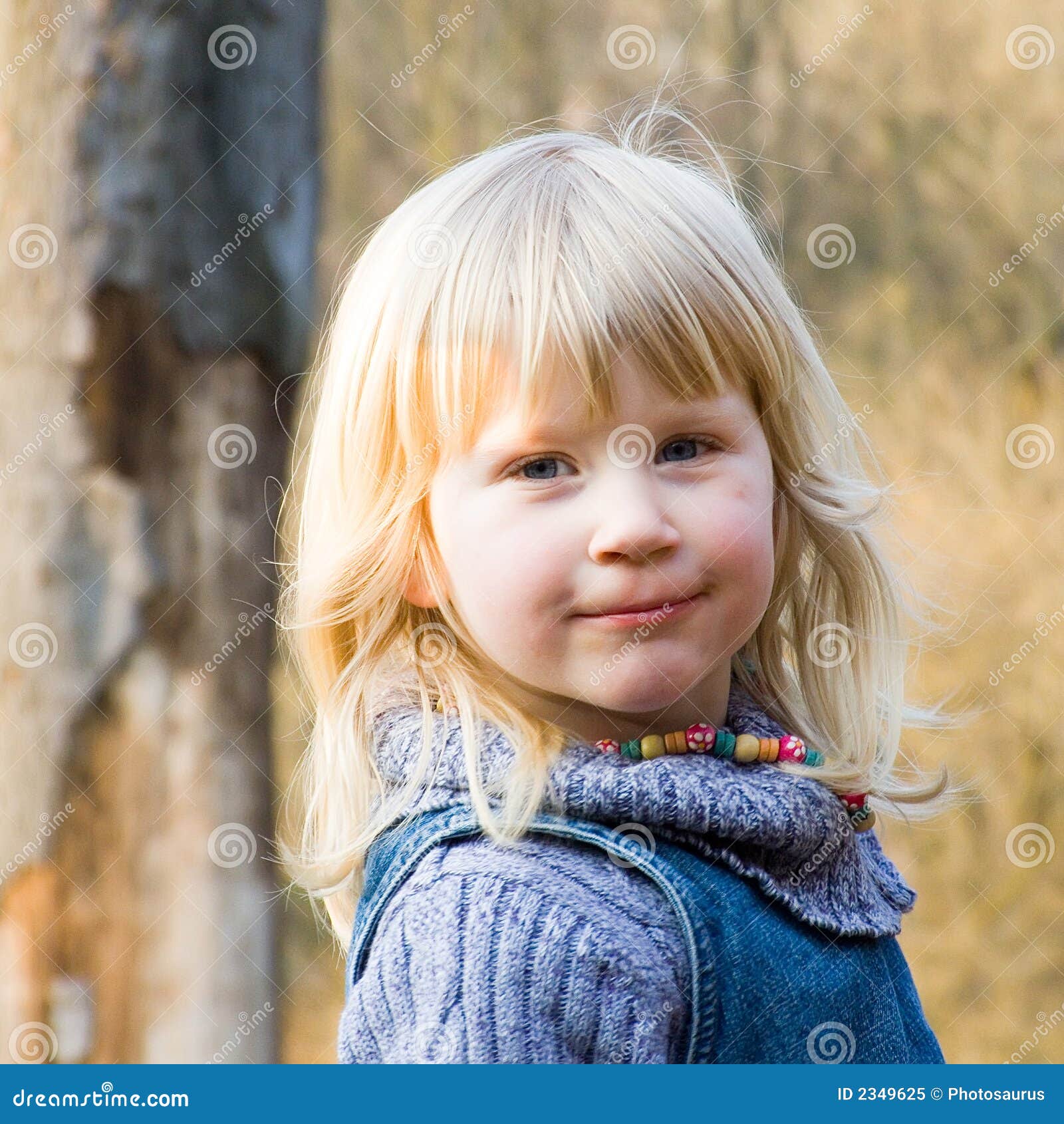 Smart Looking Asian Preteen Boy Writing And Using Computer Laptop ...