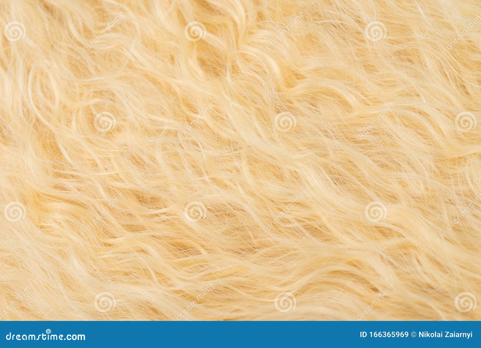 Blond Wavy Hair Pattern. Top View Stock Image - Image of fashion ...