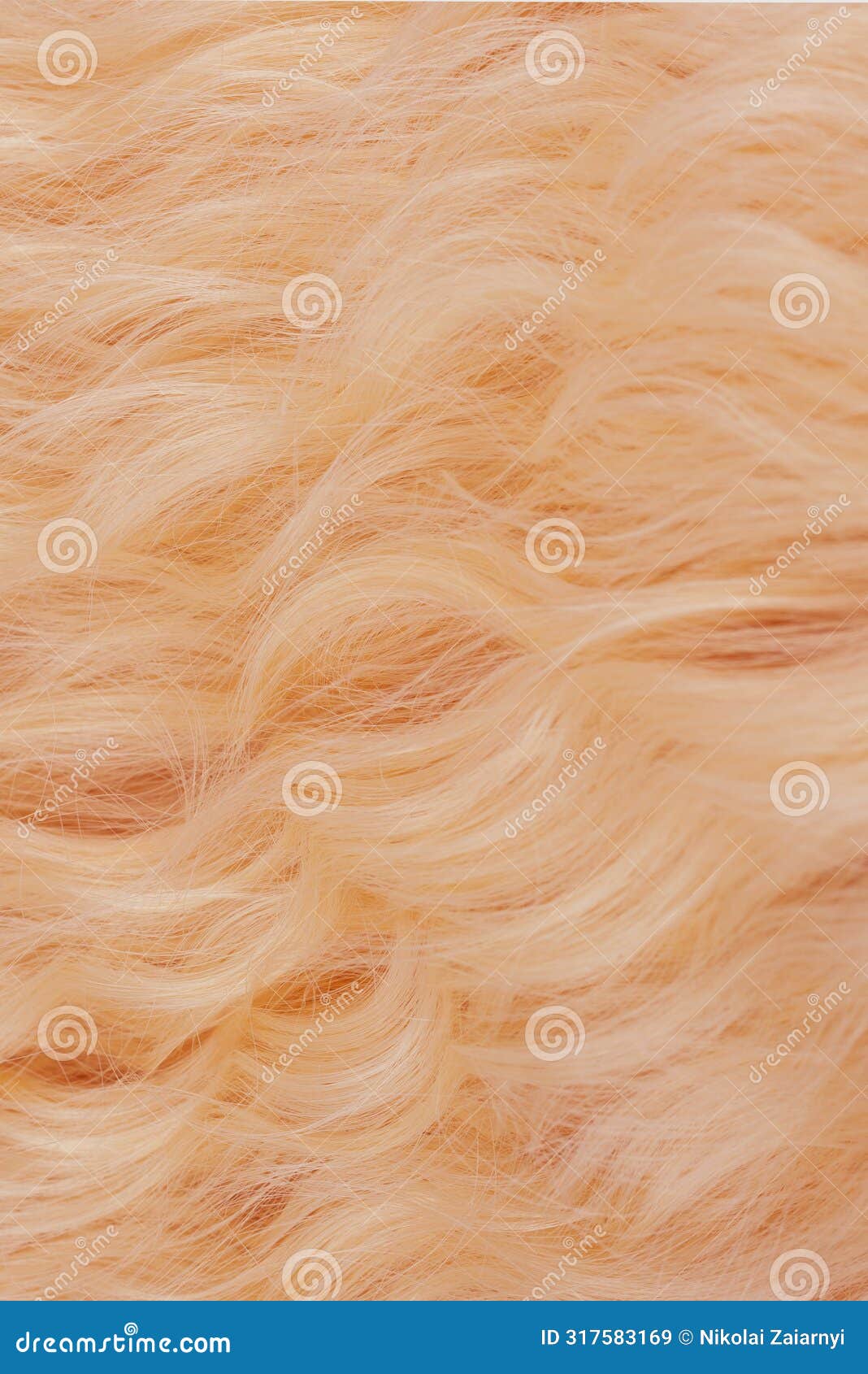 Blond Wavy Hair Pattern. Top View Stock Image - Image of closeup ...