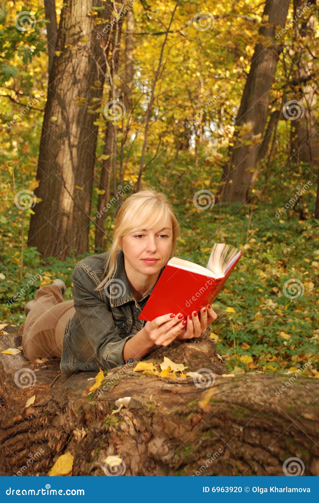 407 Lady Laying Tree Stock Photos - Free & Royalty-Free Stock Photos ...