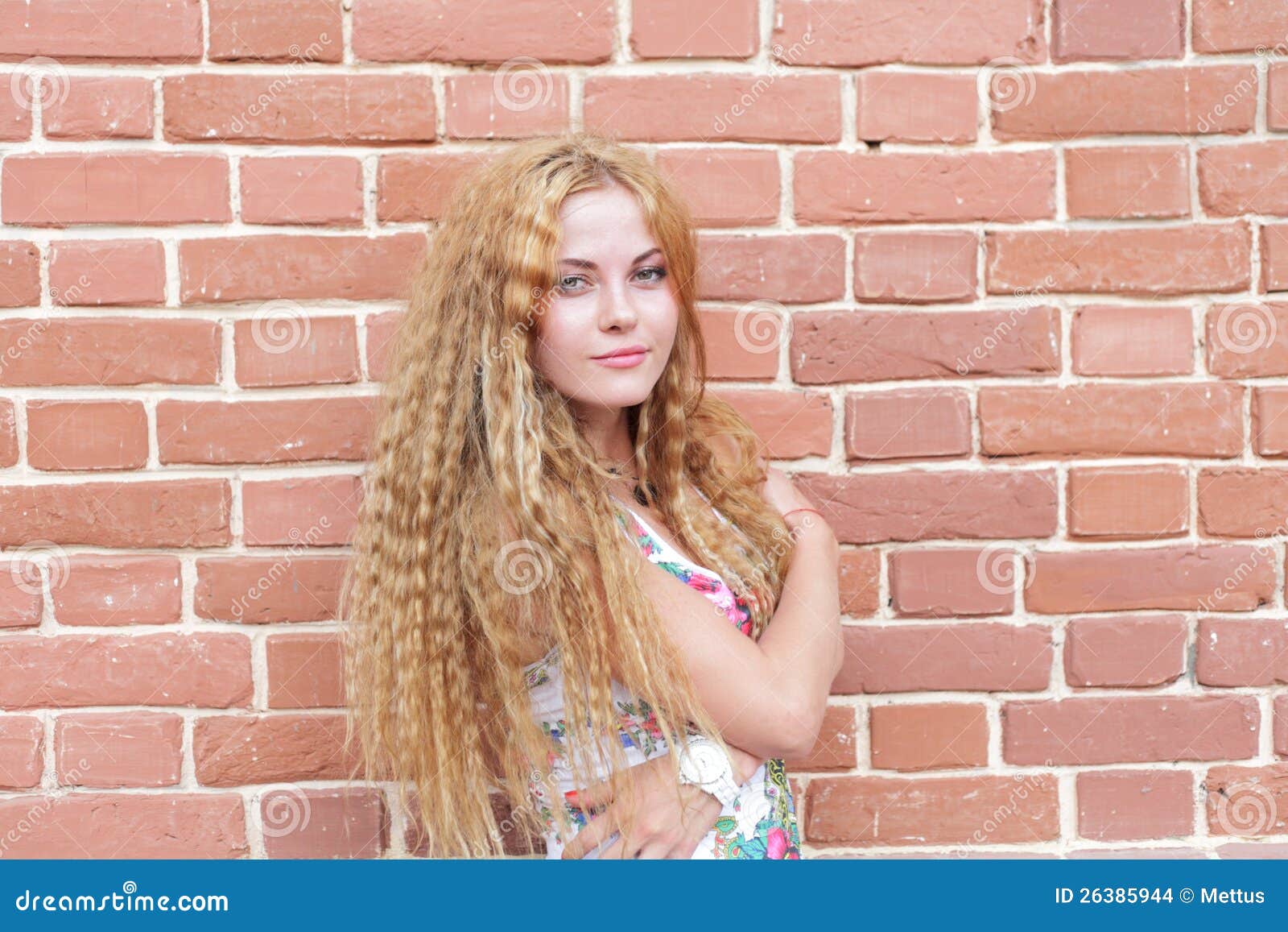 Blond Woman and Brick Wall stock photo. Image of female - 26385944