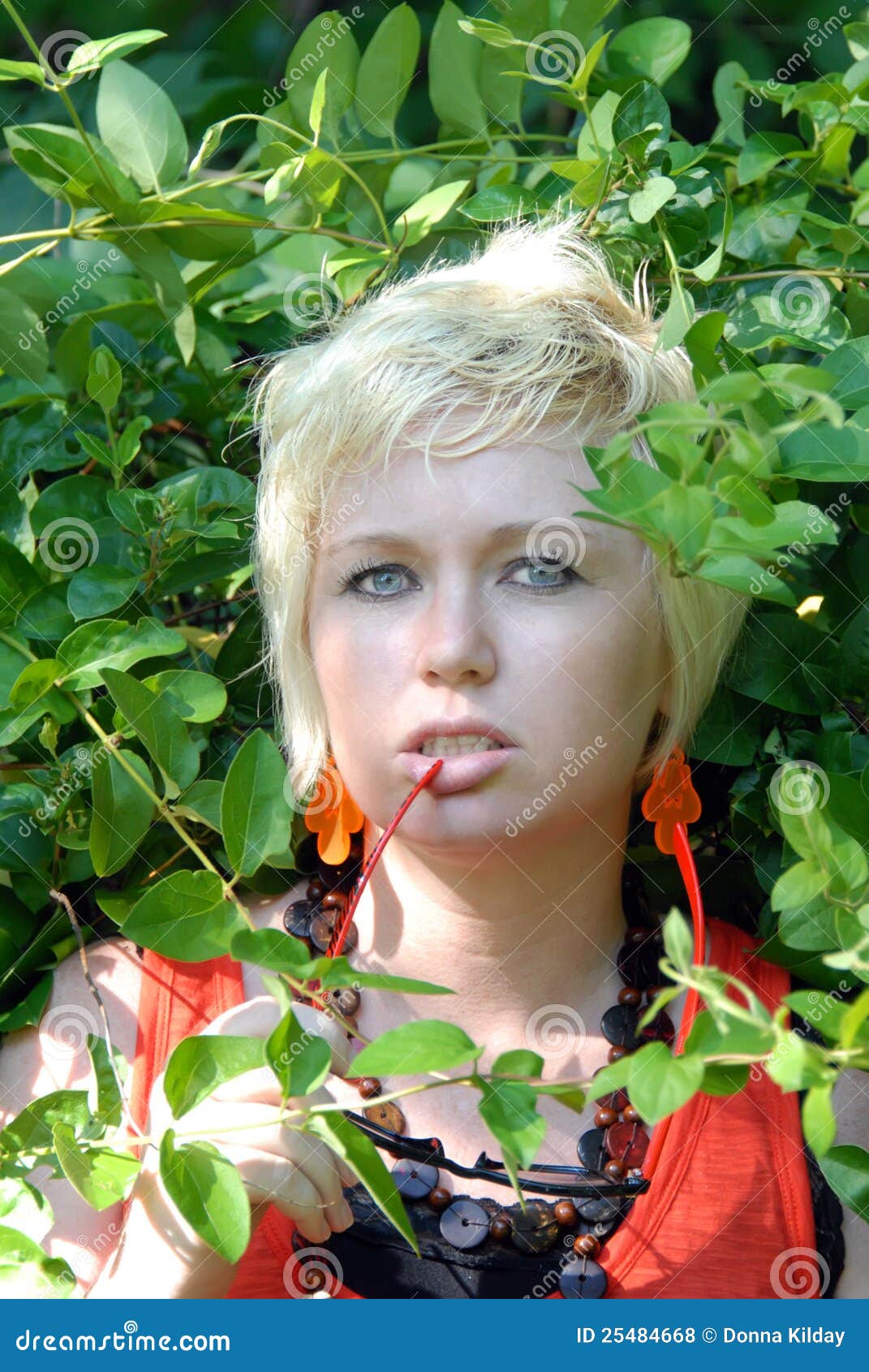 Blond woman with vines stock photo. Image of people, nature - 25484668