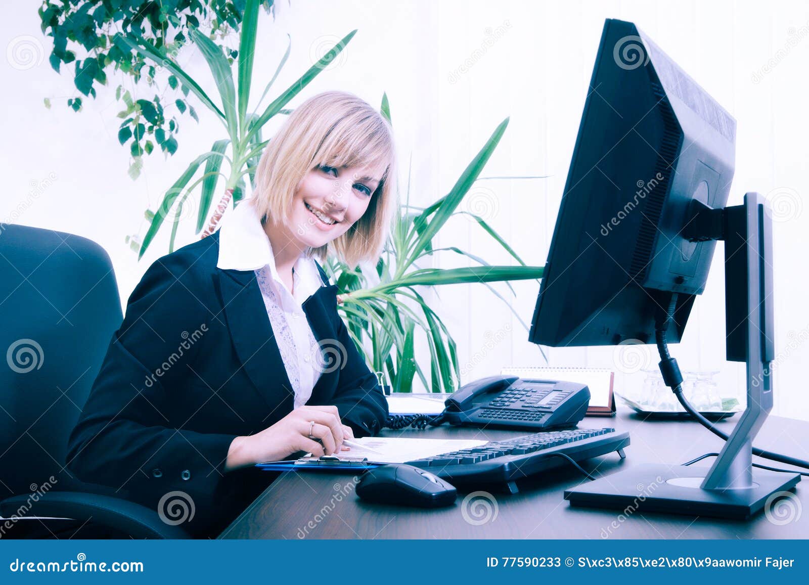 Blonde Businesswoman Working on Computer at the Office Stock Image ...