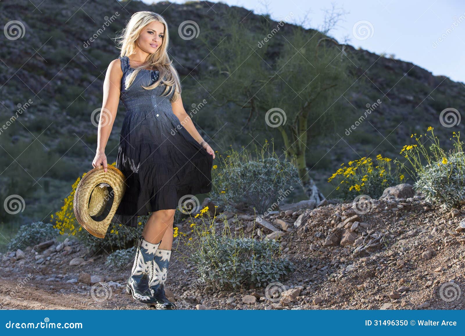 Blonde Cowgirl stock photo. Image of beautiful, adult - 31496350