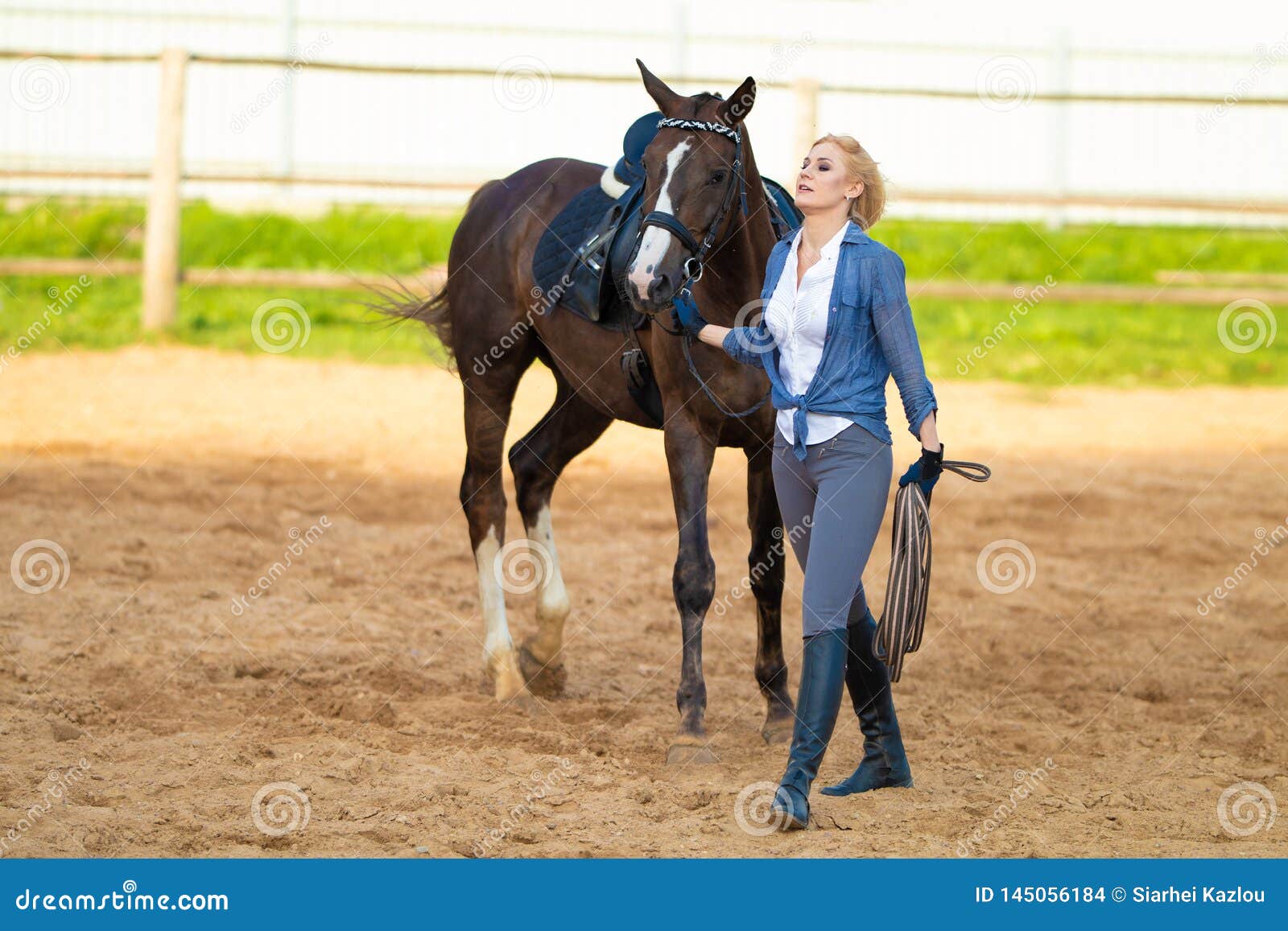 Blonde Frau Mit Langem Haarjockeyreiter Auf Einer Braune, in Einer ... Blonde Frau Mit Langem Haarjockeyreiter Auf Einer Braune, in Einer ...