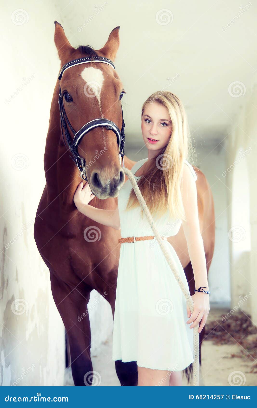 Blonde Frau mit Pferd stockbild. Bild von grau, zauber - 68214257 Blonde Frau mit Pferd stockbild. Bild von grau, zauber - 68214257