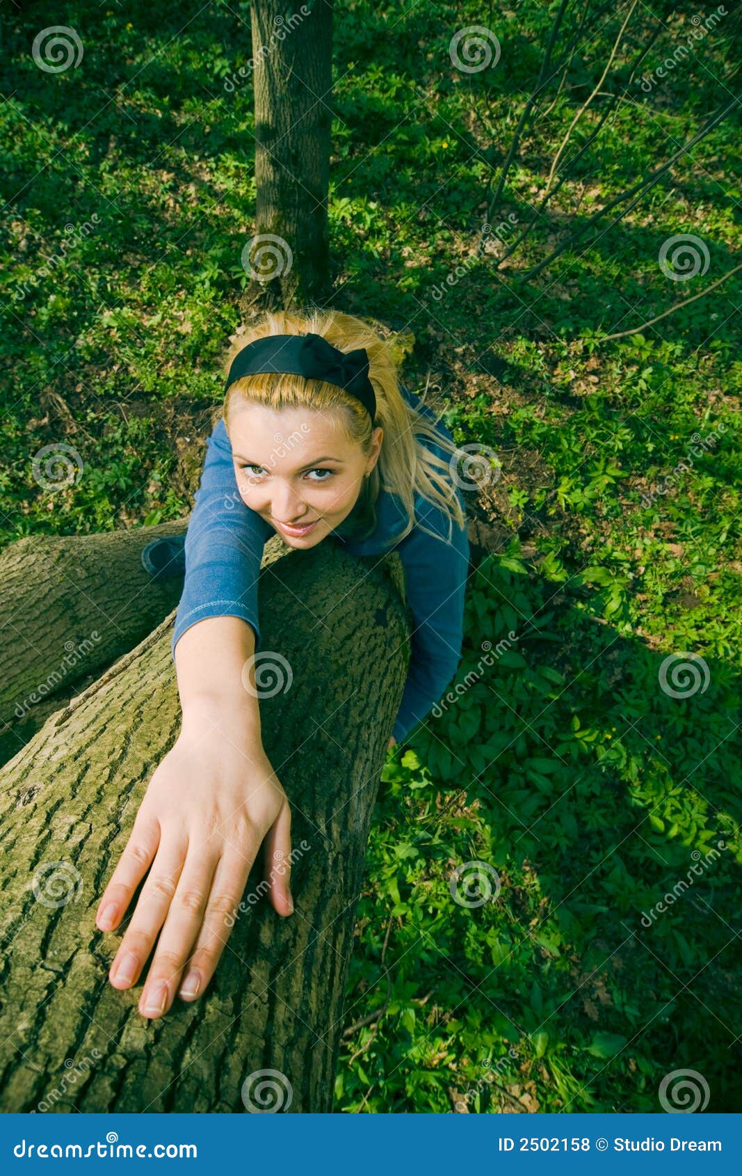 Blonde girl hugging tree stock photo. Image of casual - 2502158