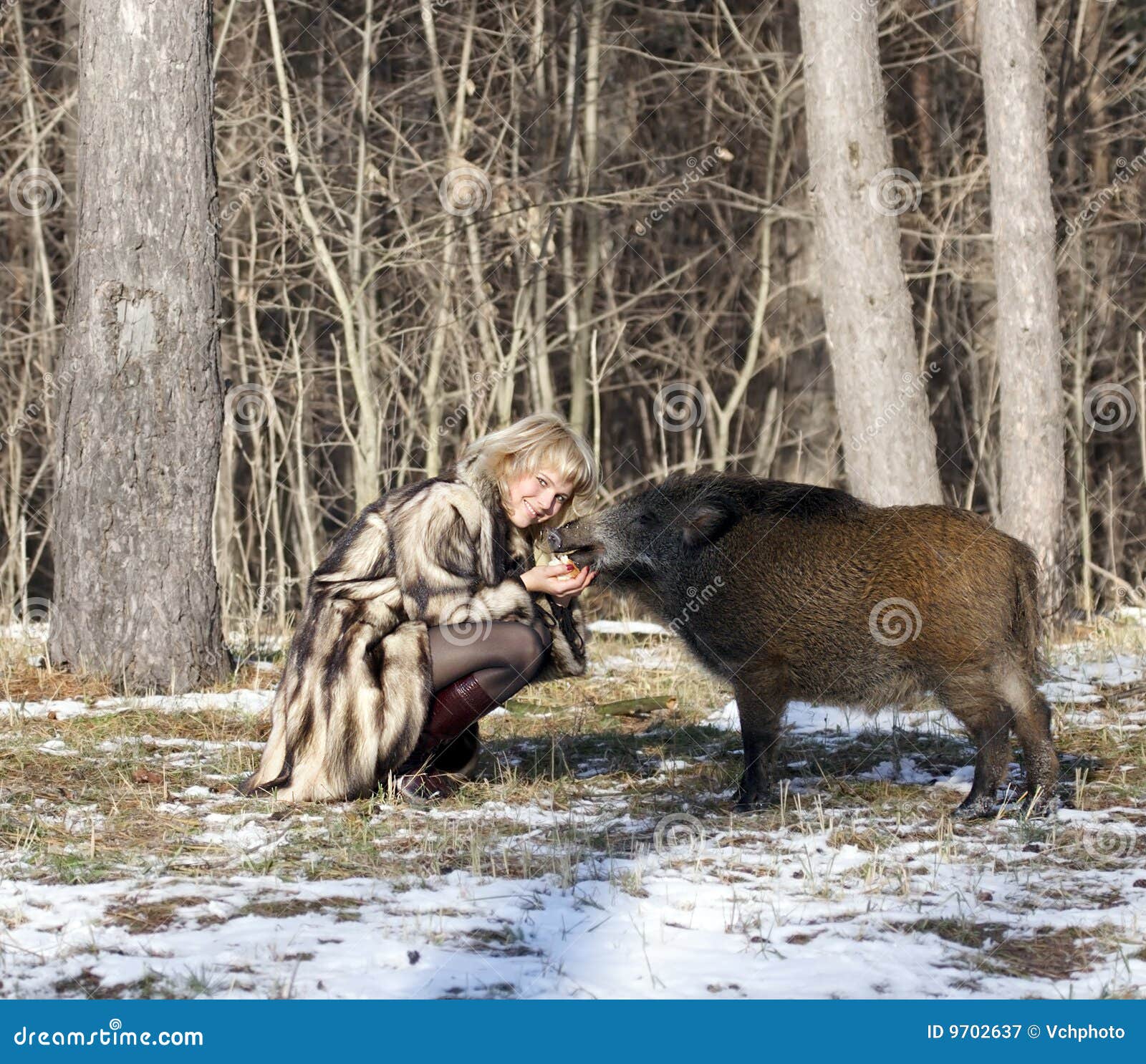 Blonde girl with wild boar stock image. Image of forest - 9702637