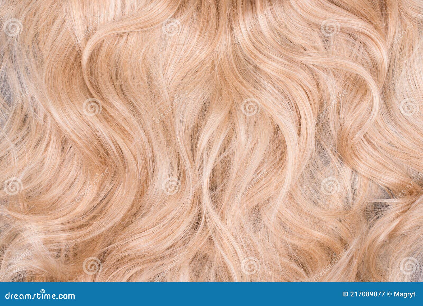 Blonde Hair Texture Wavy Long Curly Blond Hair Close Up As Background