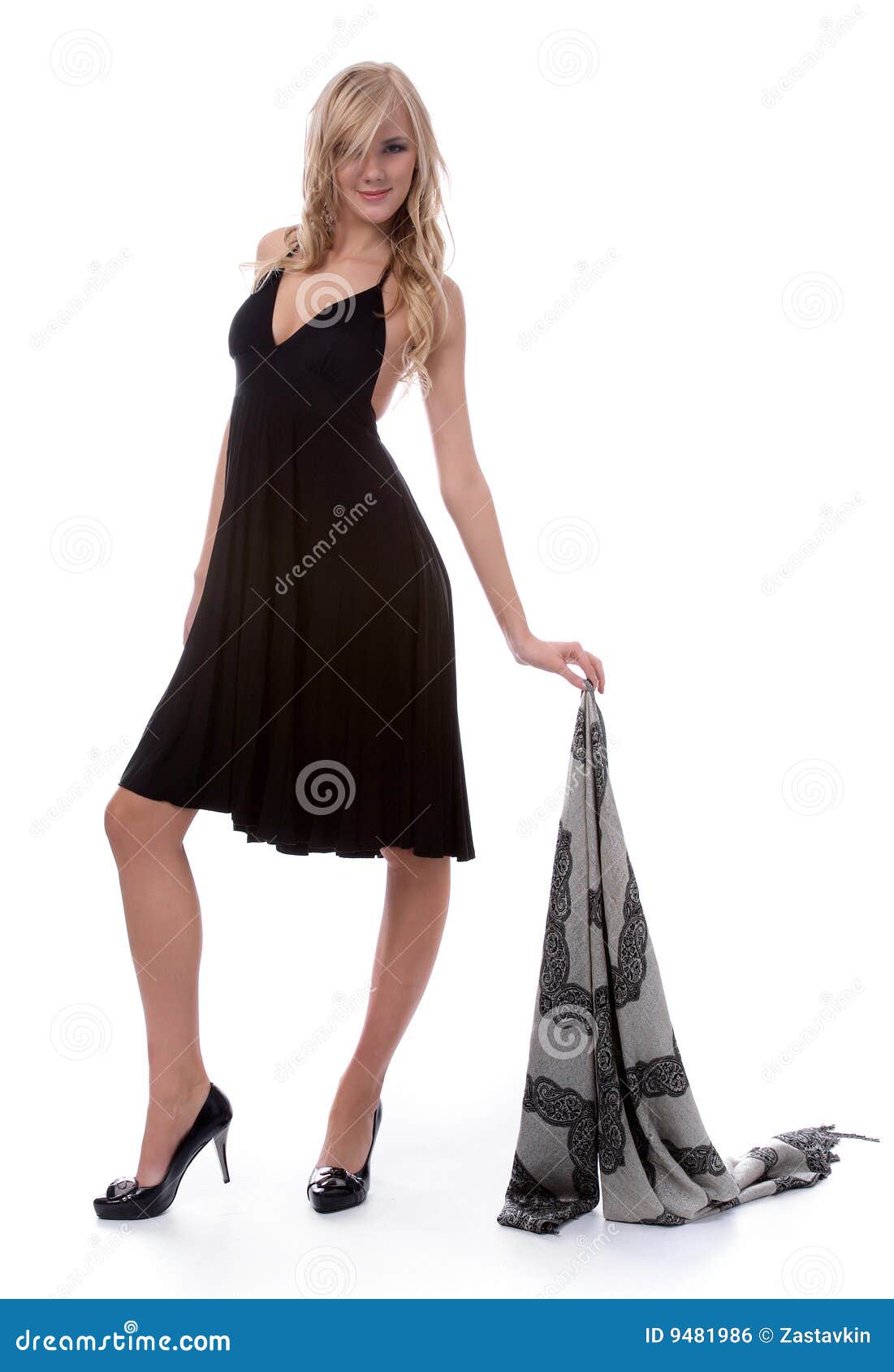 Blonde model with shawl stock photo. Image of caucasian - 9481986