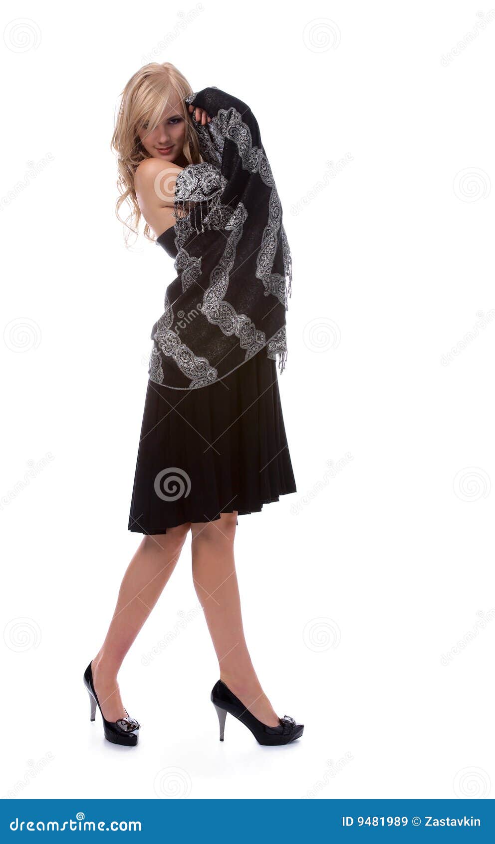 Blonde model with shawl stock image. Image of beauty, female - 9481989