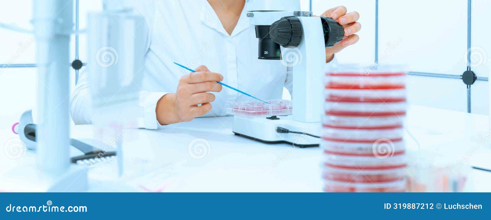 Blood Analysis: Microscopic Analysis of Blood Helps Determine Cell Typ ...