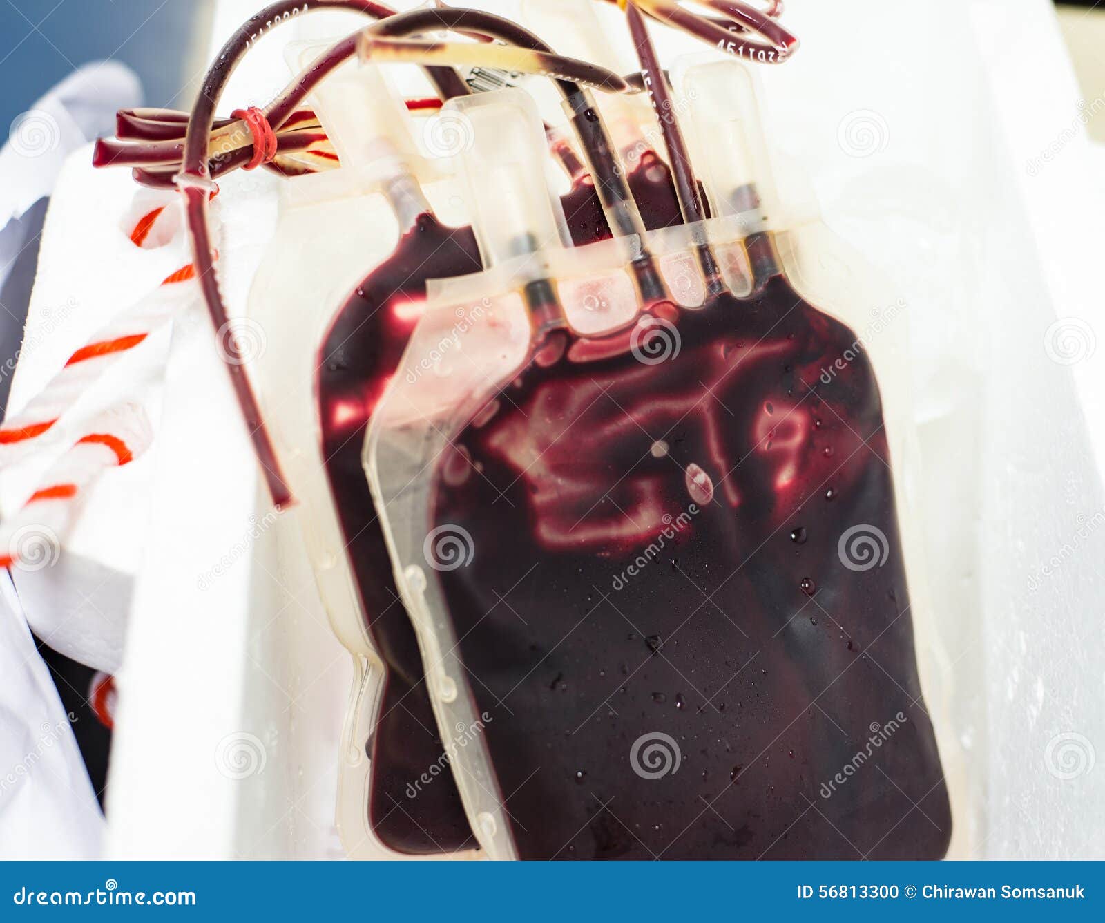 Blood bag stock photo. Image of care, clinic, scientific - 56813300