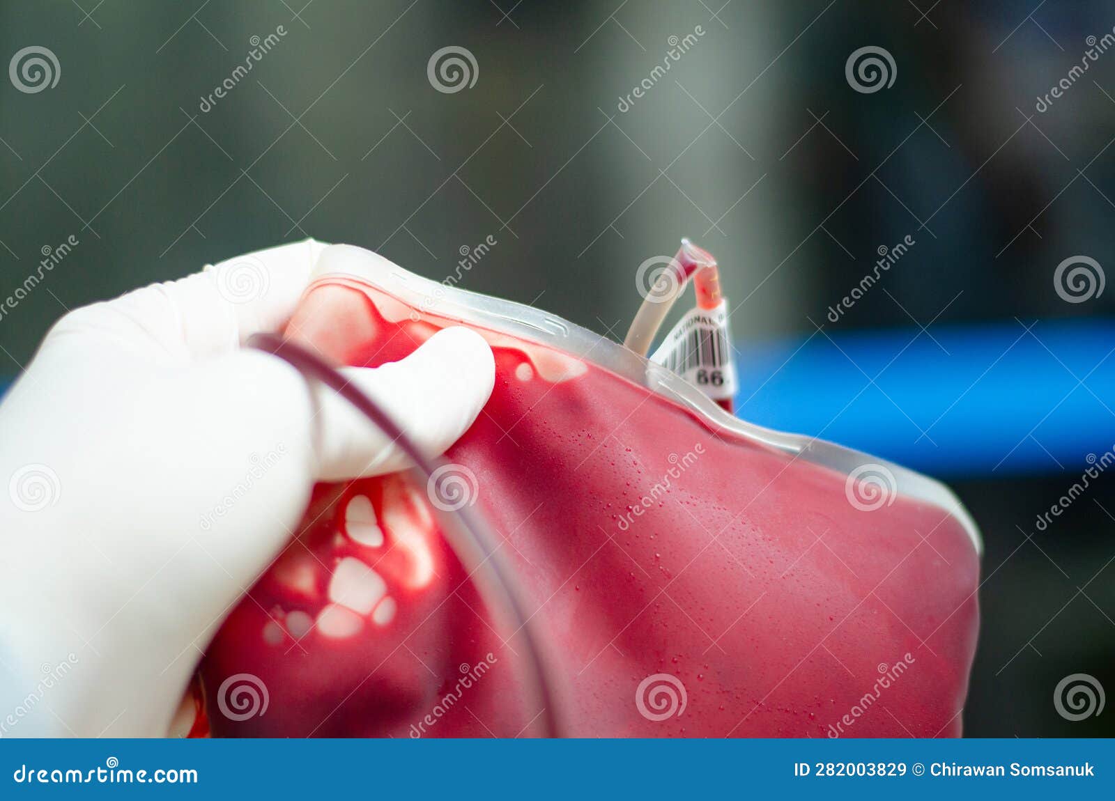 Blood Bag in Blood Bank Lab Stock Image - Image of needle, donor: 282003829