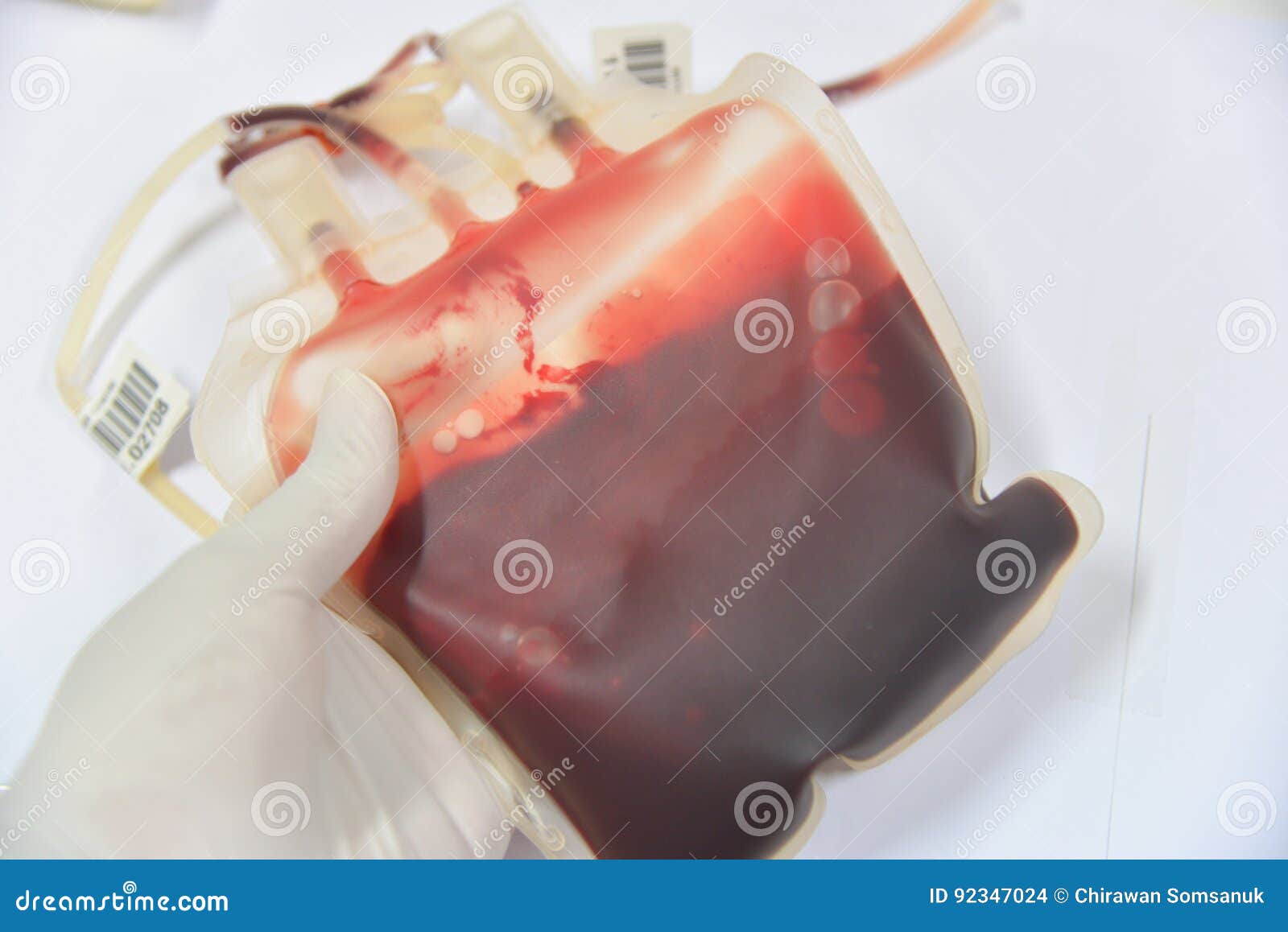 Blood bag in laboratory stock photo. Image of hospital - 92347024