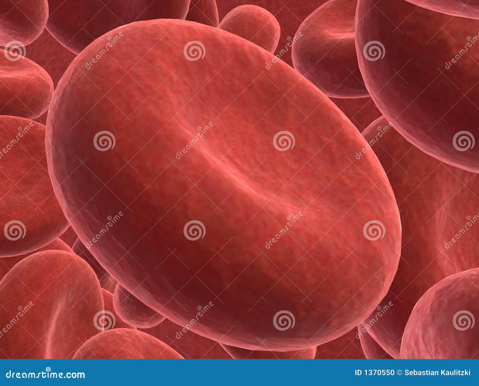 Blood cell stock illustration. Illustration of cell, infection - 1370550