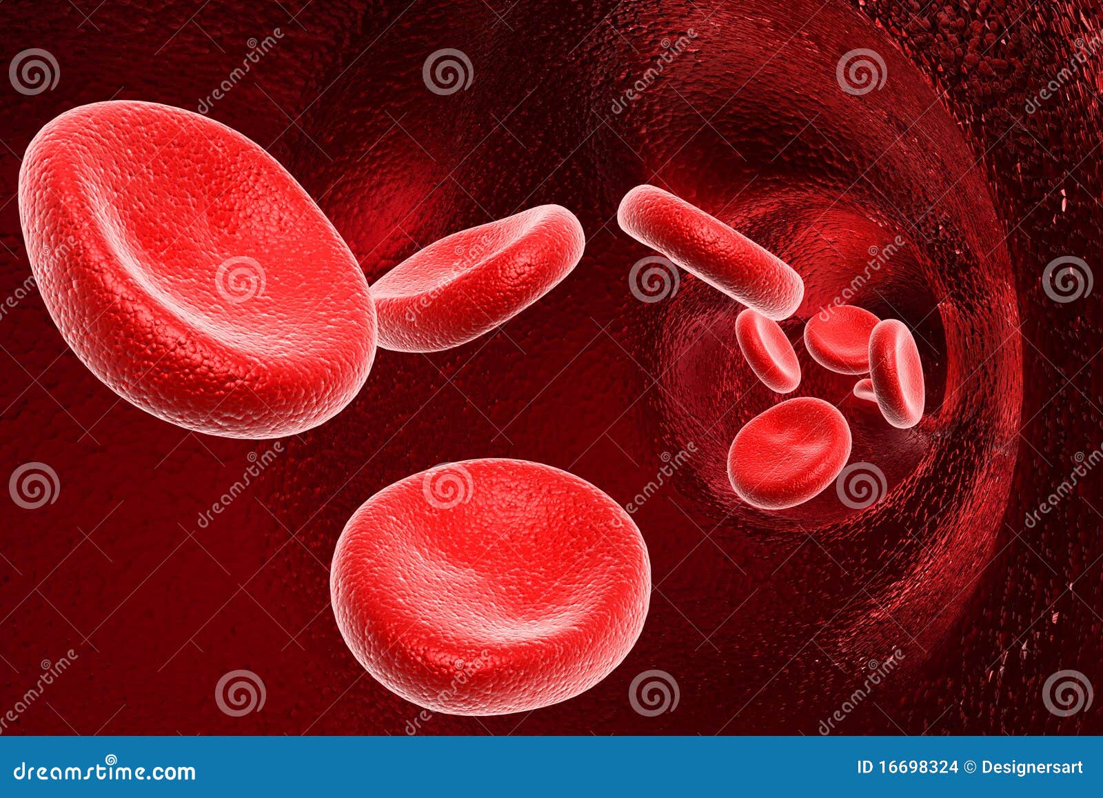 Blood Cell Stock Images - Image: 16698324