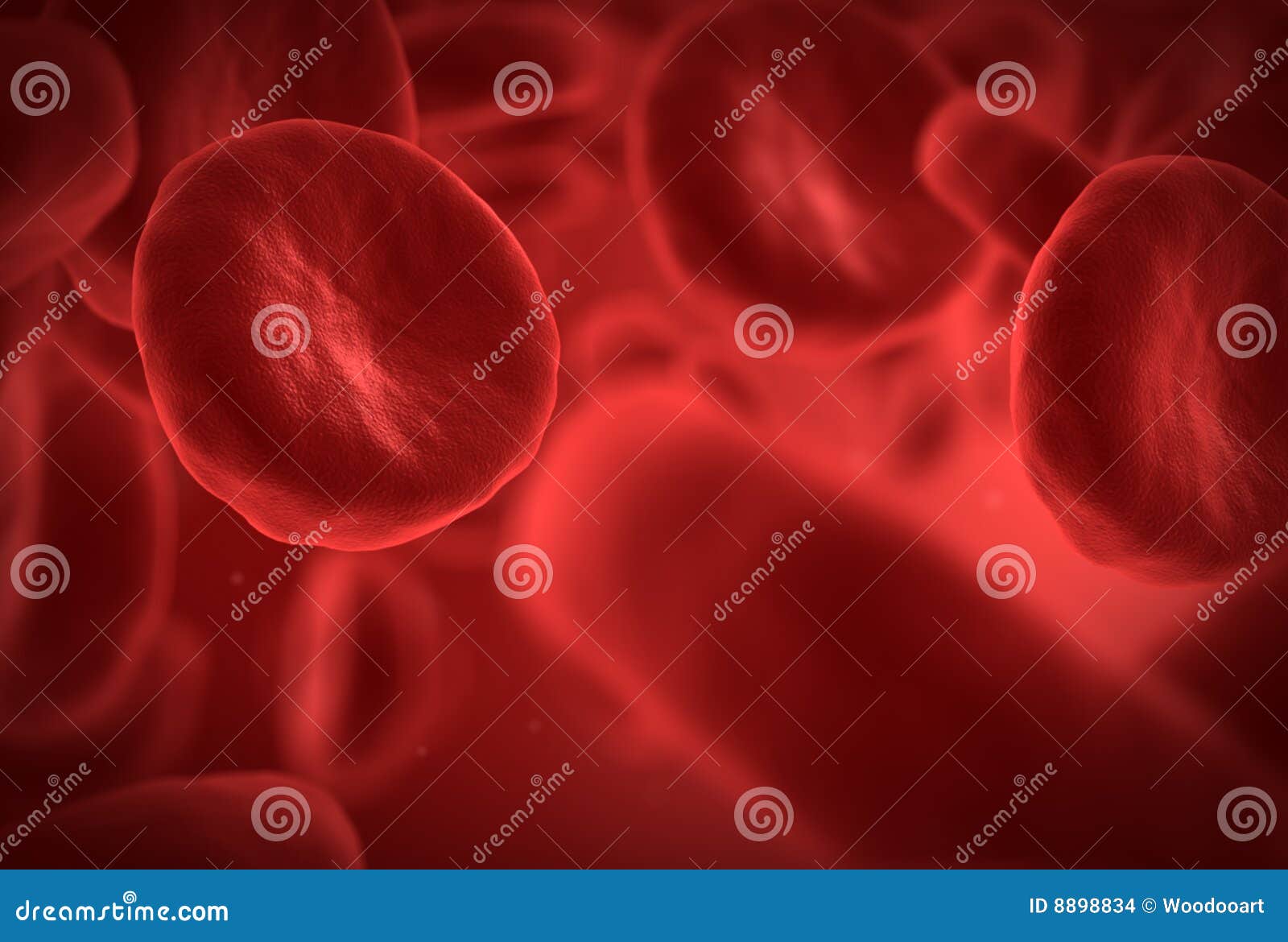 Blood cell stock illustration. Illustration of microbiology - 8898834
