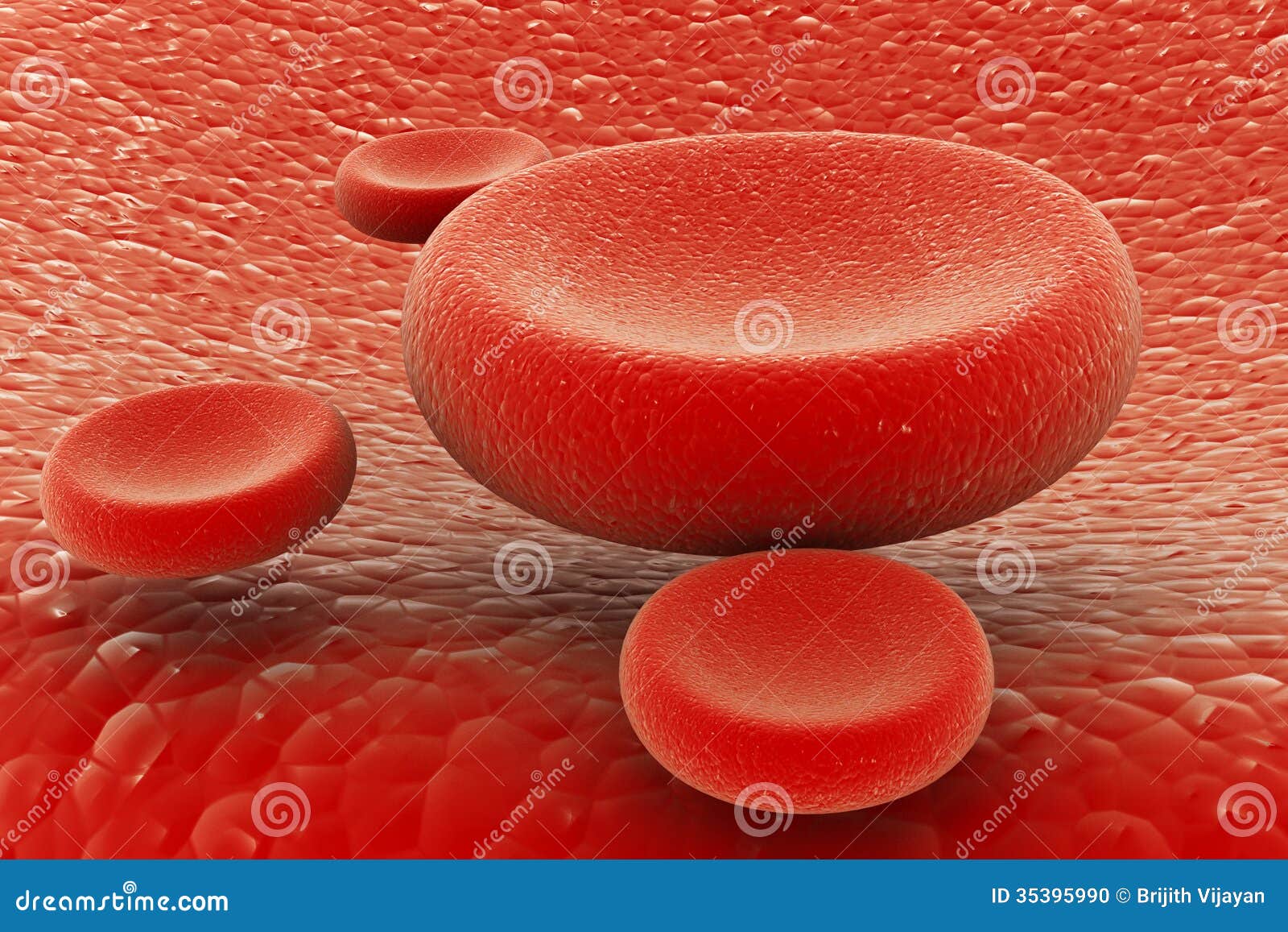 Blood Cell Flowing in Artery Stock Illustration - Illustration of ...