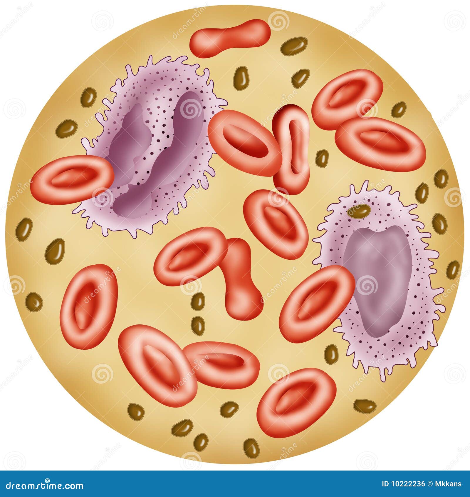 Tumor Cells Cartoons, Illustrations & Vector Stock Images - 101540 ...